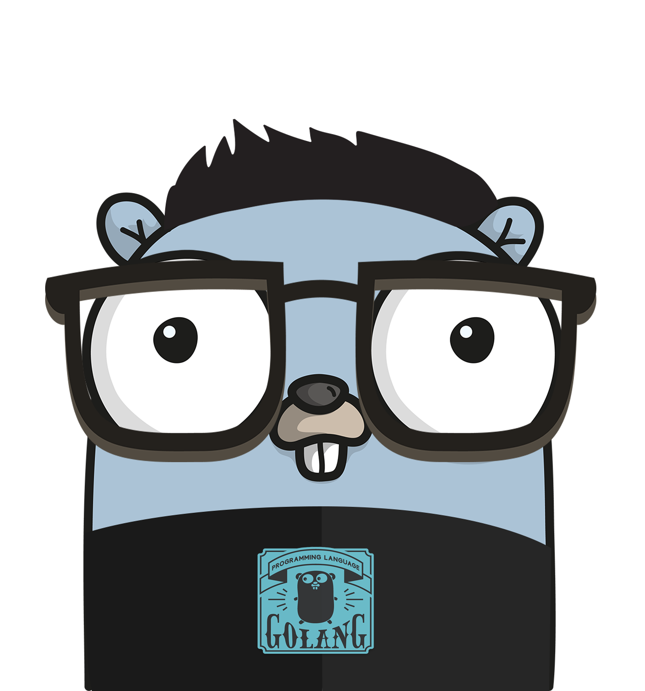 GoCoder - Go Developer - Golang Developer - Jamstack